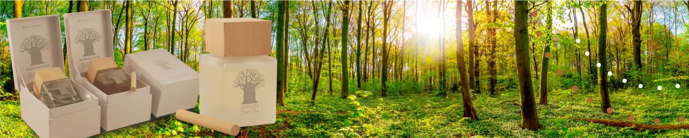 Wooden Top Diffusers – MOCKANA